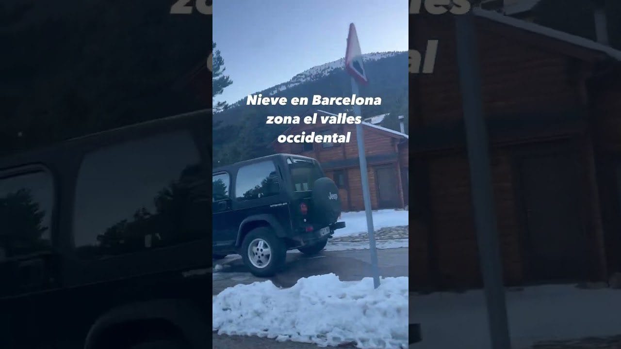 Conoce Olvan: Todo lo que Necesitas Saber sobre Esta Innovadora ...